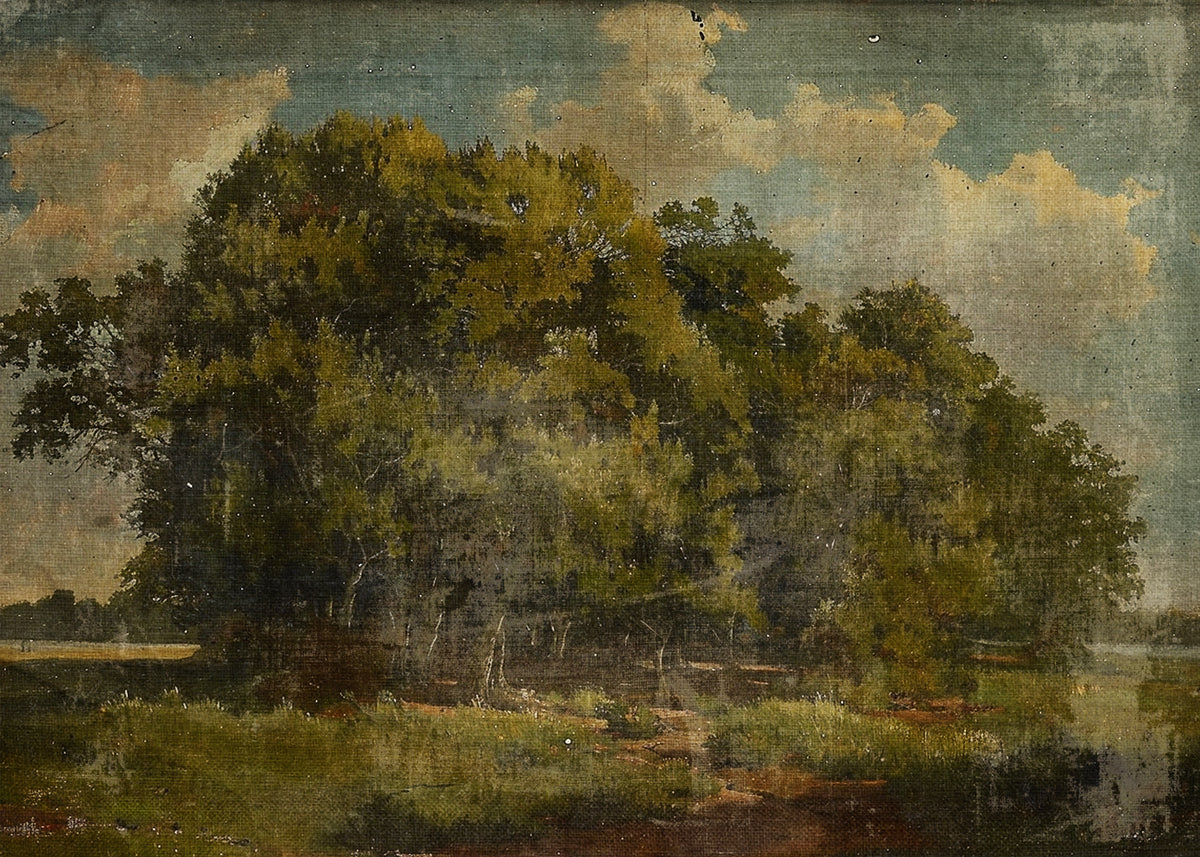 Griffith – Patina Vie