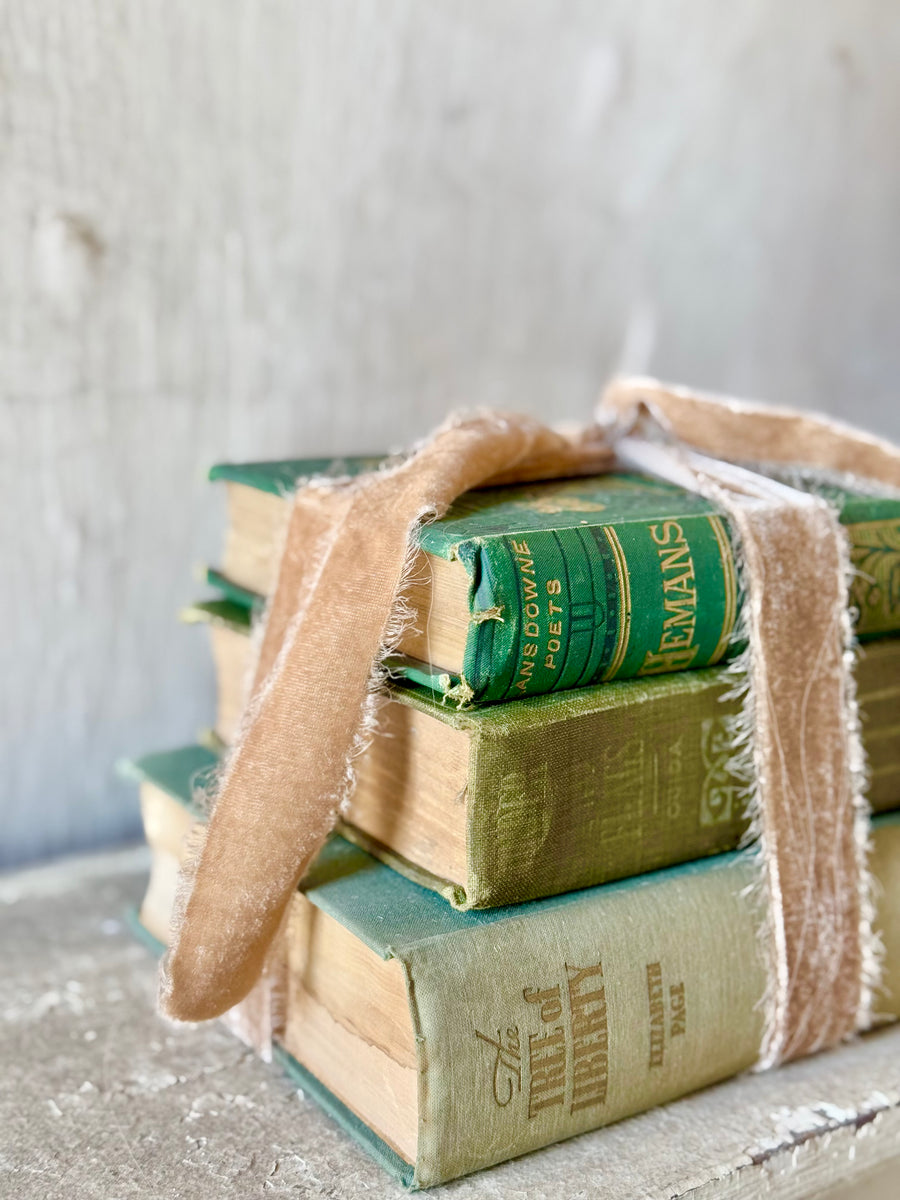 Patina Vie Vintage Stack of Books, S/3