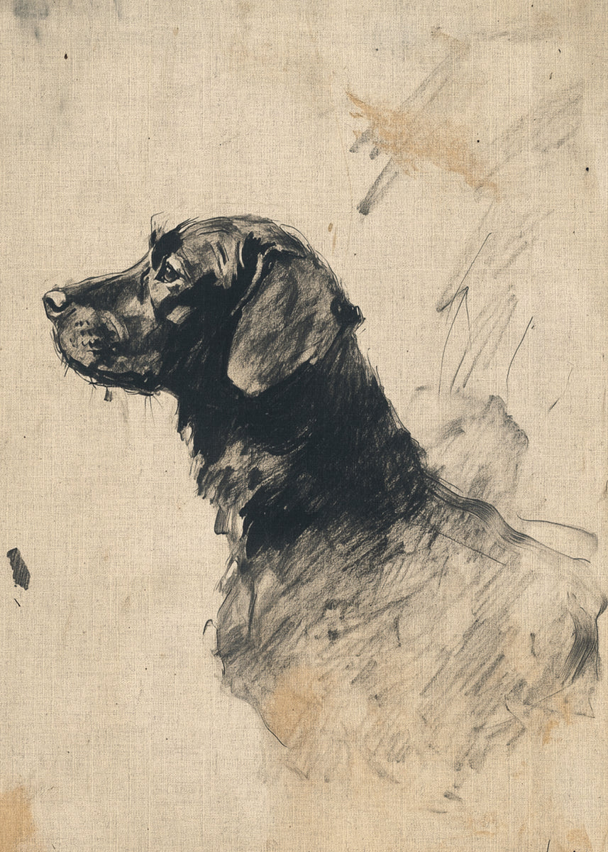 Mason – Patina Vie