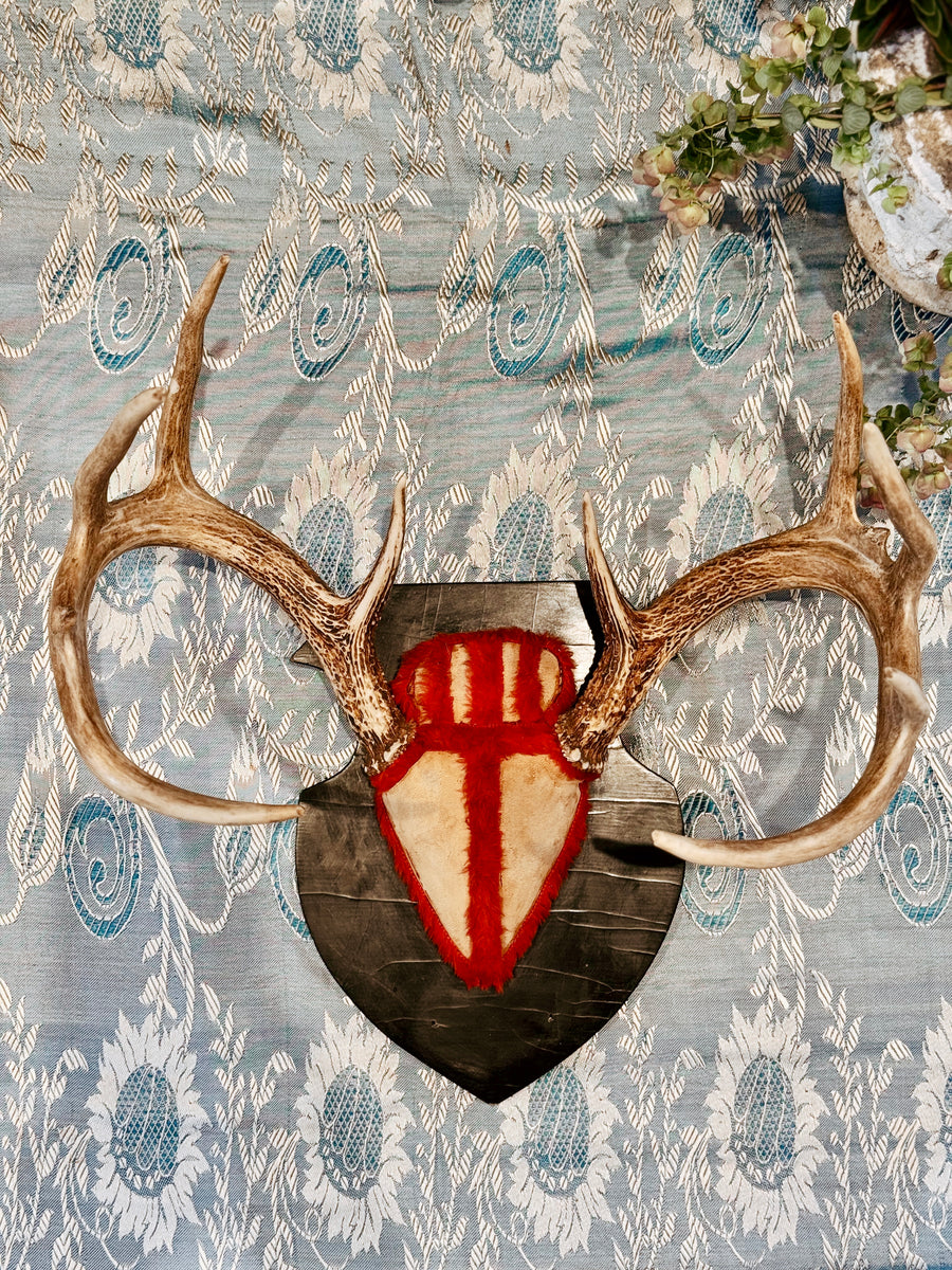 Patina Vie Vintage European Antler Mount