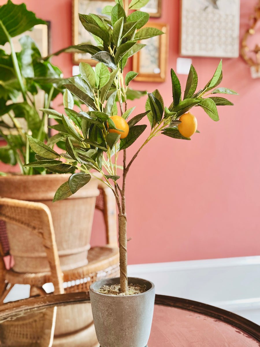 Faux Lemon Tree – Patina Vie